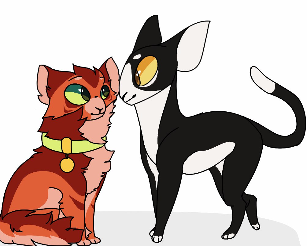 Jake X Talltail By Xxhimmelxx On Deviantart