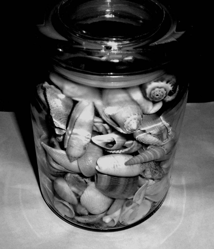 Shells in a jar by photogrl07 on DeviantArt