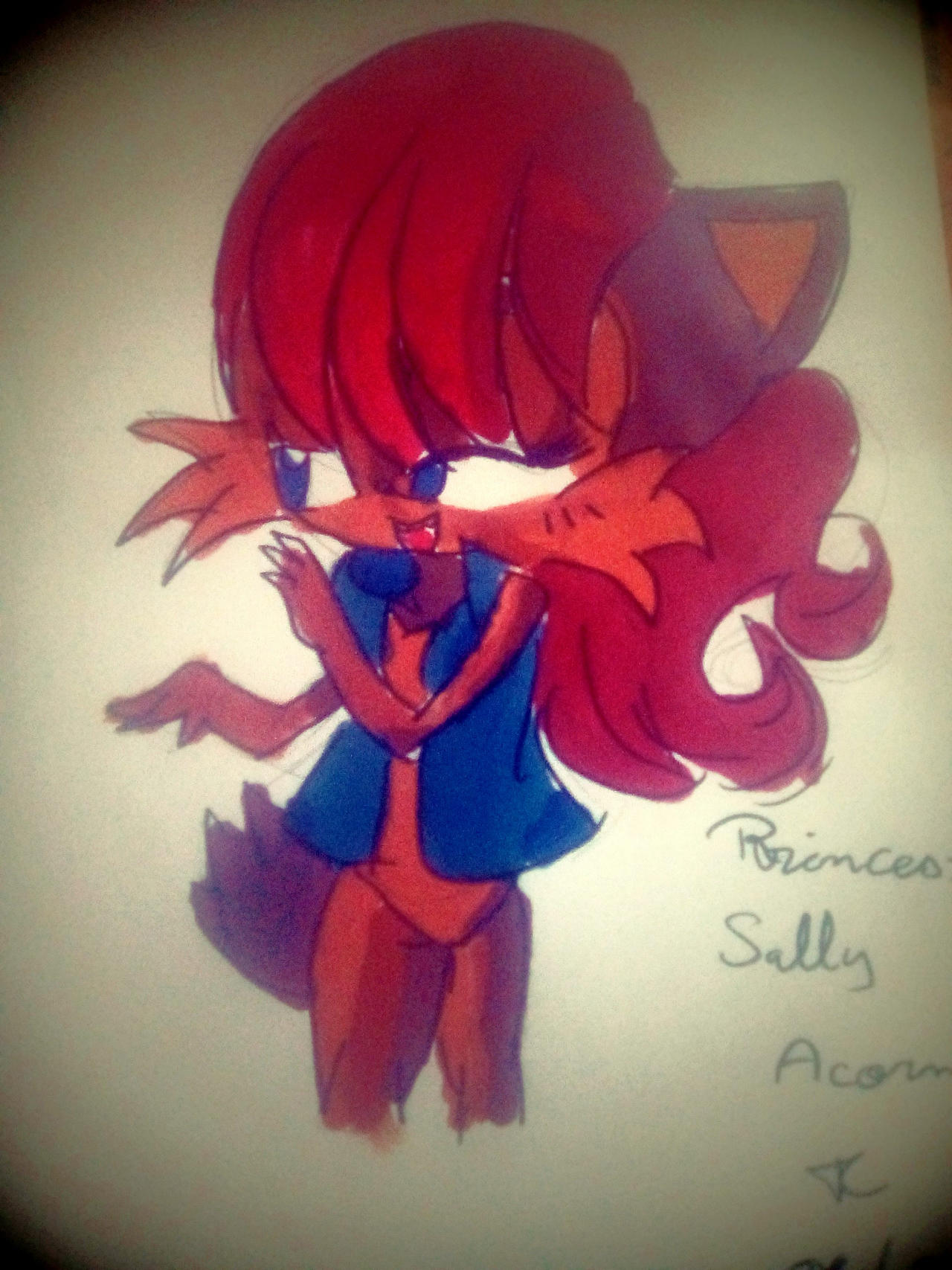 Princess Sally Acorn 1 By Soni1300 On Deviantart