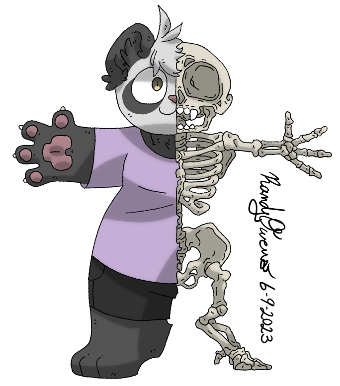 Prezton Canon Anatomy By Panda R Poet On Deviantart