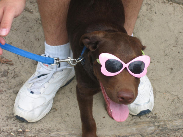 Movie Star by SanctuaryofSky on DeviantArt