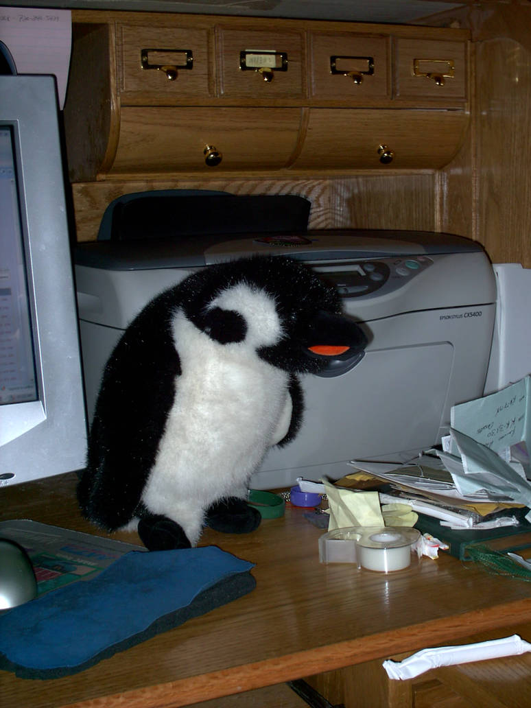 Sliip the Majik Penguin 2 by SilverFoxFeather on DeviantArt