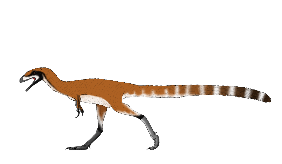 Sinosauropteryx Prima by Oncho78910 on DeviantArt Sinosauropteryx Prima by Oncho78910 on DeviantArt