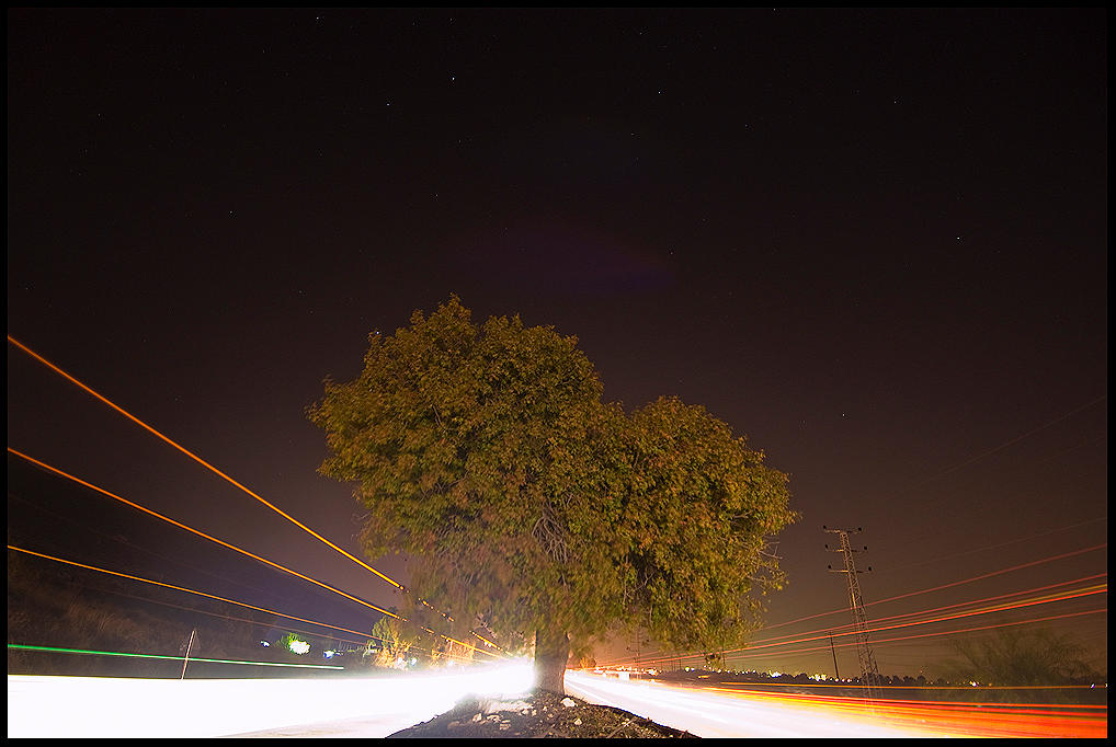 Highway Tree - long exposure by sevenths on DeviantArt