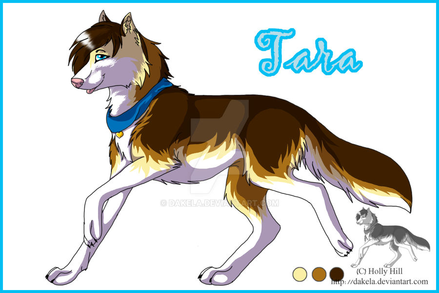 Tara Ref Sheet by Dakela on DeviantArt Tara Ref Sheet by Dakela on DeviantArt