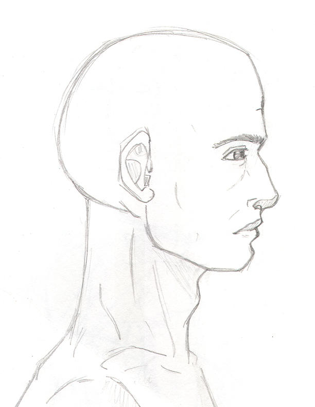 Male Sketch By Goddessaven On Deviantart