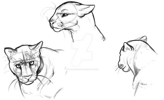 Umbra-Daiwrfol - Student, Digital Artist | DeviantArt Umbra-Daiwrfol - Student, Digital Artist | DeviantArt