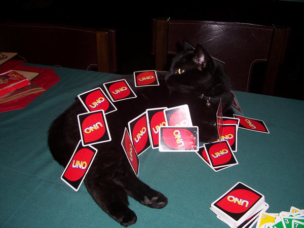 UNO CAT by LibraryPup on DeviantArt