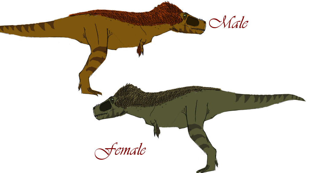 Tyrannosaurus Male And Female Color Scheme By Keegz97 On Deviantart