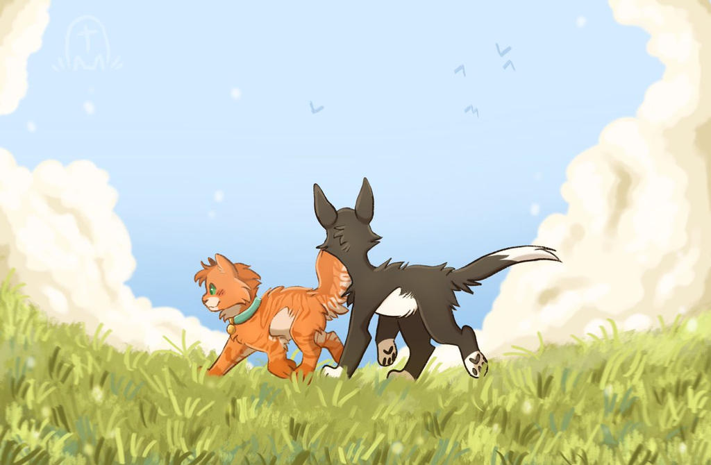 Talltail And Jake By Oji Gomi On Deviantart