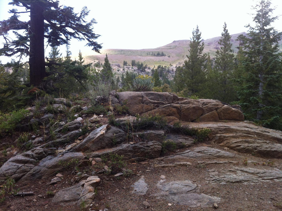 Carson Pass Trail By Tutorveritatis On Deviantart