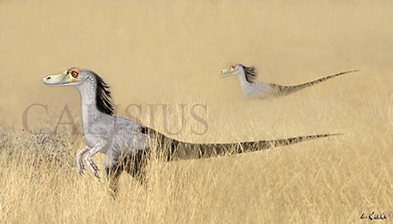 hunting raptors by Calisius on DeviantArt