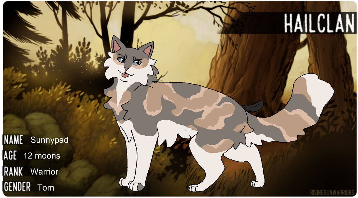 Sunnypad Rsw Application By Junedaybug On Deviantart