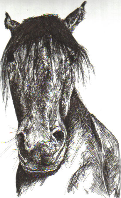 Bluestone Mare in Ink by Toxicguineapigs on DeviantArt