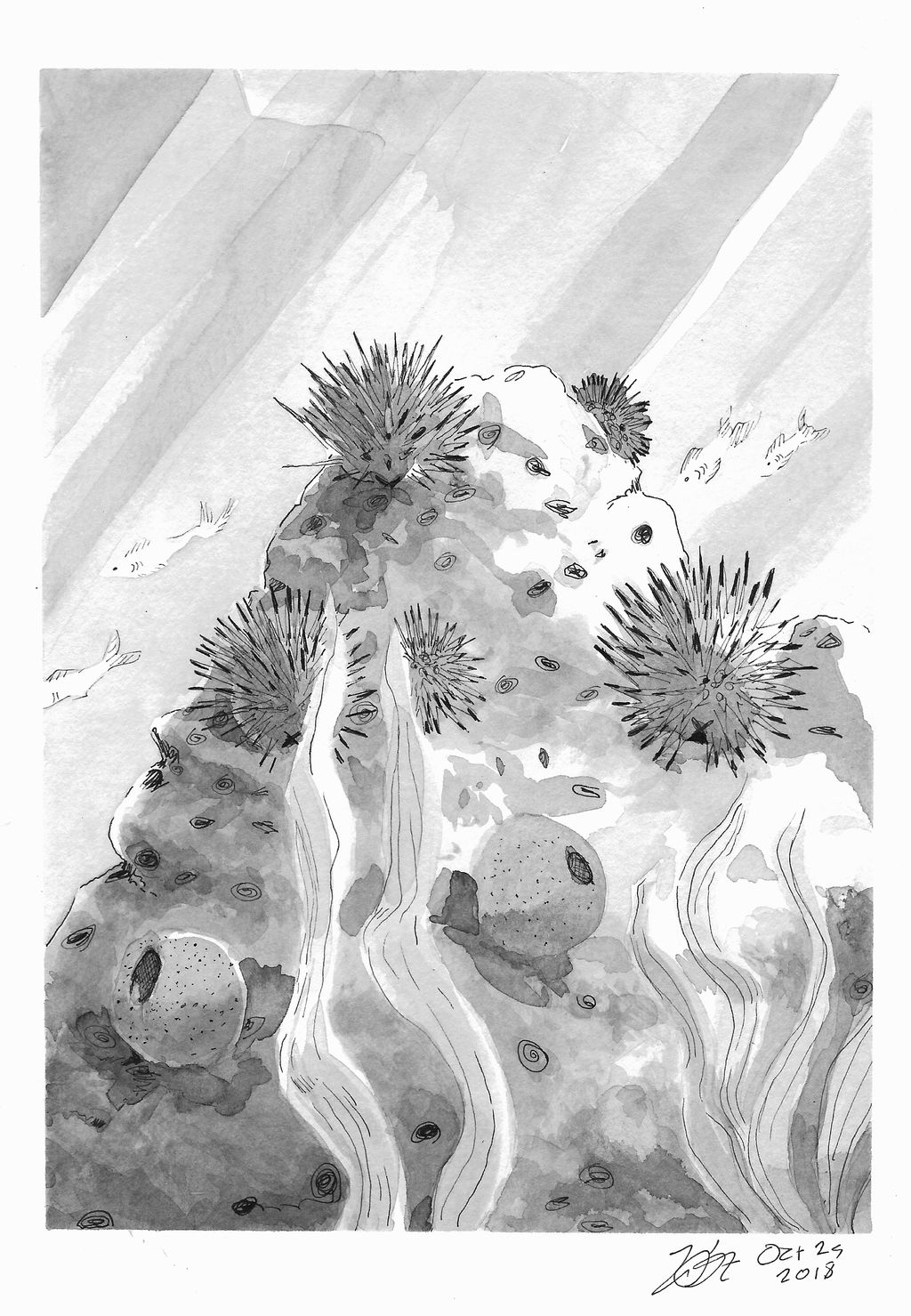 Prickly By Miscellenny On Deviantart