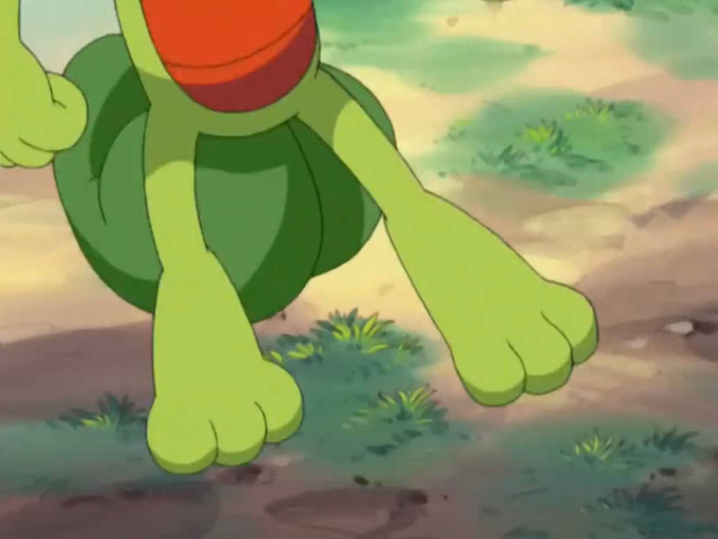 Pokemon Advanced E7 2003 Treecko Feet 3 By Tcontreras32 On Deviantart