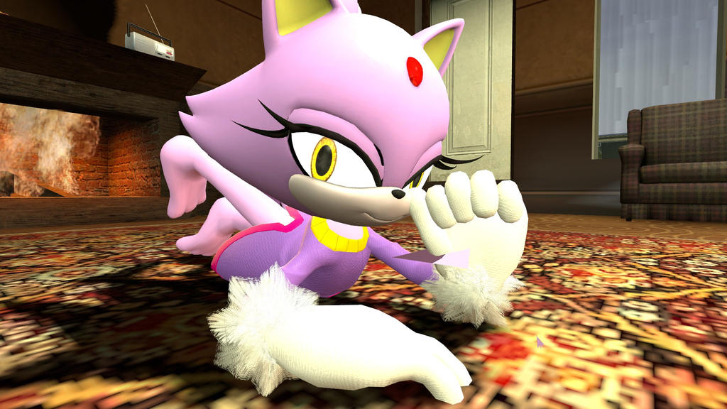 Cute Blaze The Cat Pose By Mepwep On Deviantart