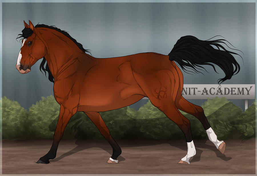 Traaker Import 193 Custom By Pashiino On Deviantart