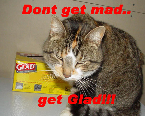 dont get mad get glad by really-tall-midget on DeviantArt