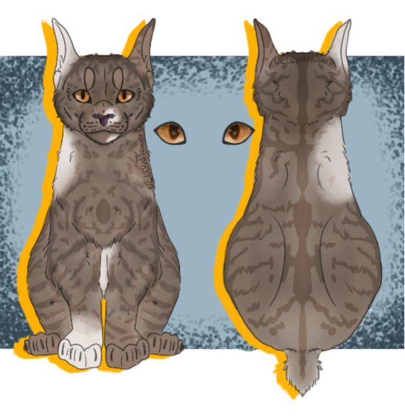 Warrior Cat Oc Reference Sheet By Jellynflowers On Deviantart