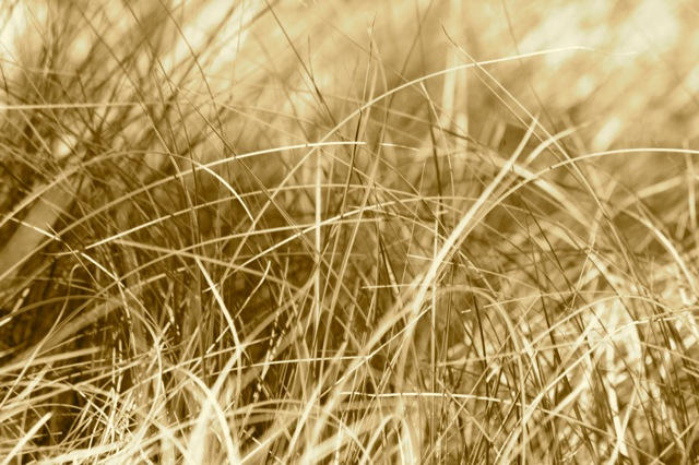 Blurry Haze By Dramaqueen12 On DeviantArt blurry-haze-by-dramaqueen12-on-deviantart