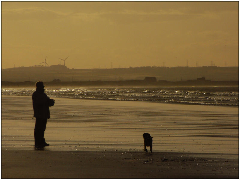 Walking The Mutt by xHalloweenx on DeviantArt