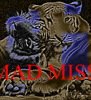 MAD MISS by madmiss on DeviantArt