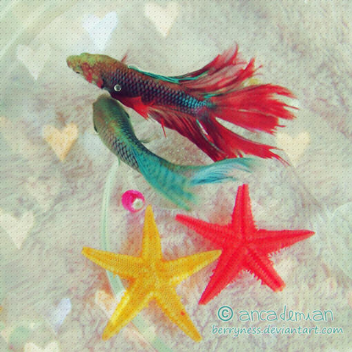 Underwater Love By Roseminuet On Deviantart