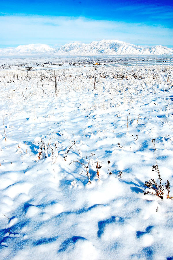Blue snow by mauropm on DeviantArt