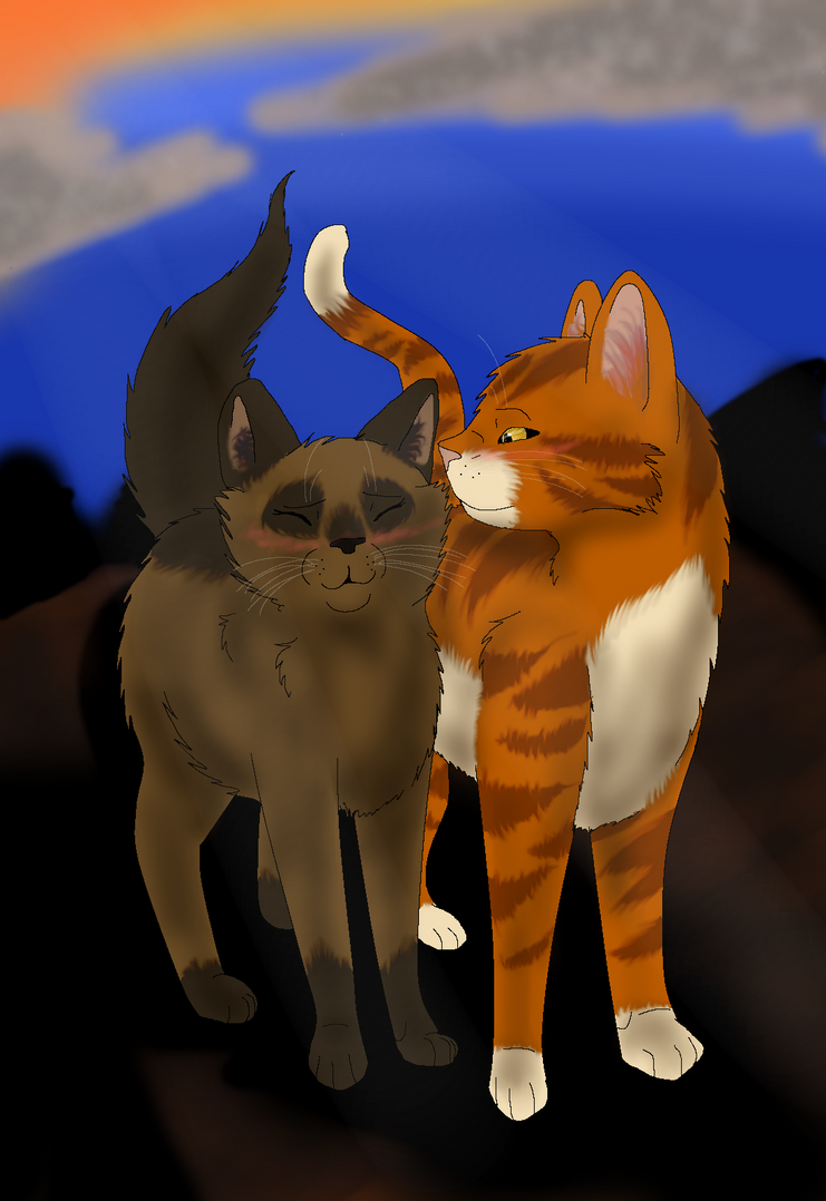 A Muddy Fox By Xxrosethestormxx On Deviantart