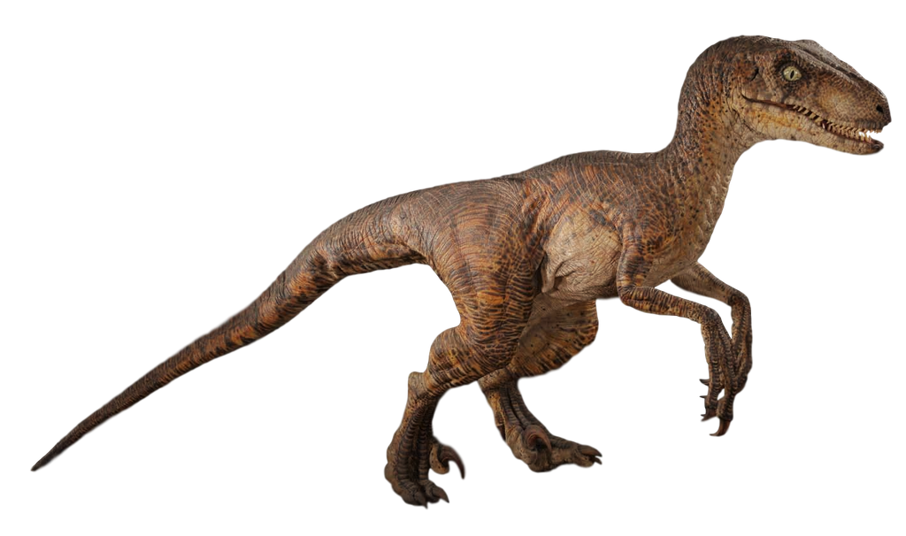 Jurassic Park - Velociraptor! by Camo-Flauge on DeviantArt Jurassic Park - Velociraptor! by Camo-Flauge on DeviantArt