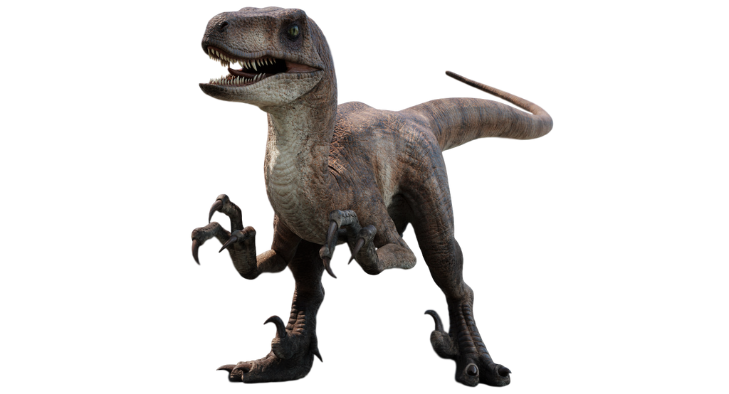 Jurassic Park Velociraptor 2 By Speedcam On Deviantart