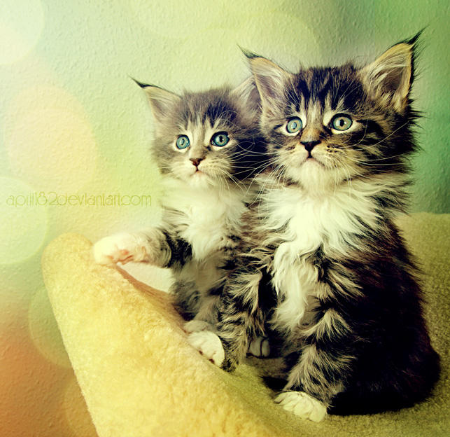 Two receivers by april182 on DeviantArt Two receivers by april182 on DeviantArt
