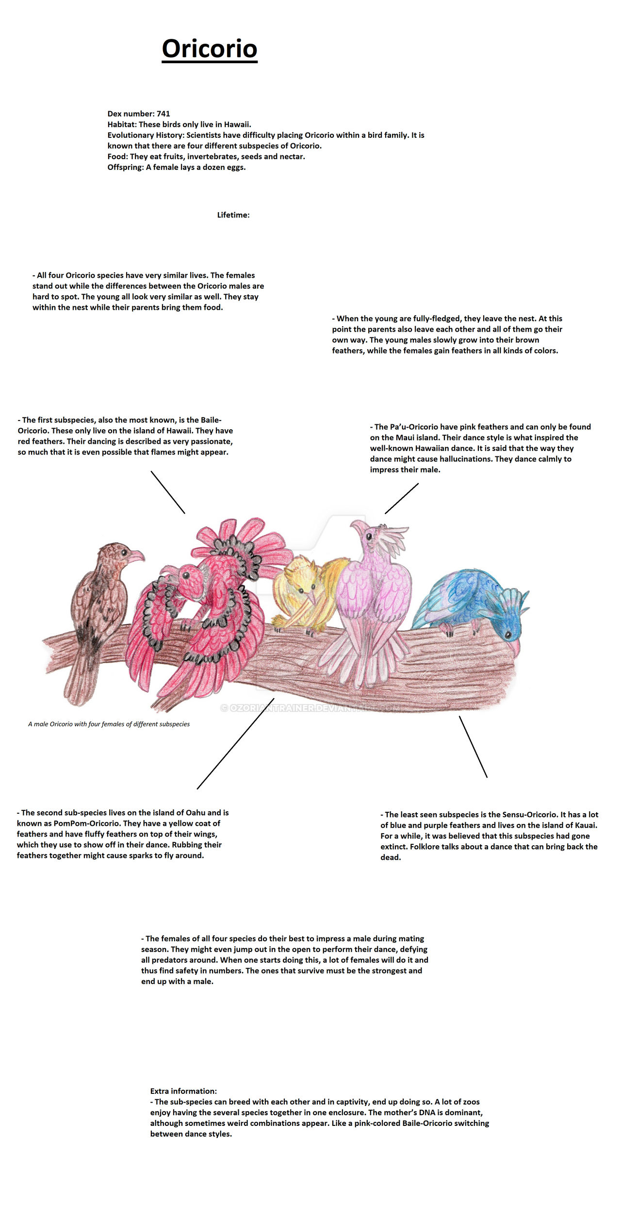 Realistic Pokedex. Entry 741 by OzorianTrainer on DeviantArt Realistic Pokedex. Entry 741 by OzorianTrainer on DeviantArt