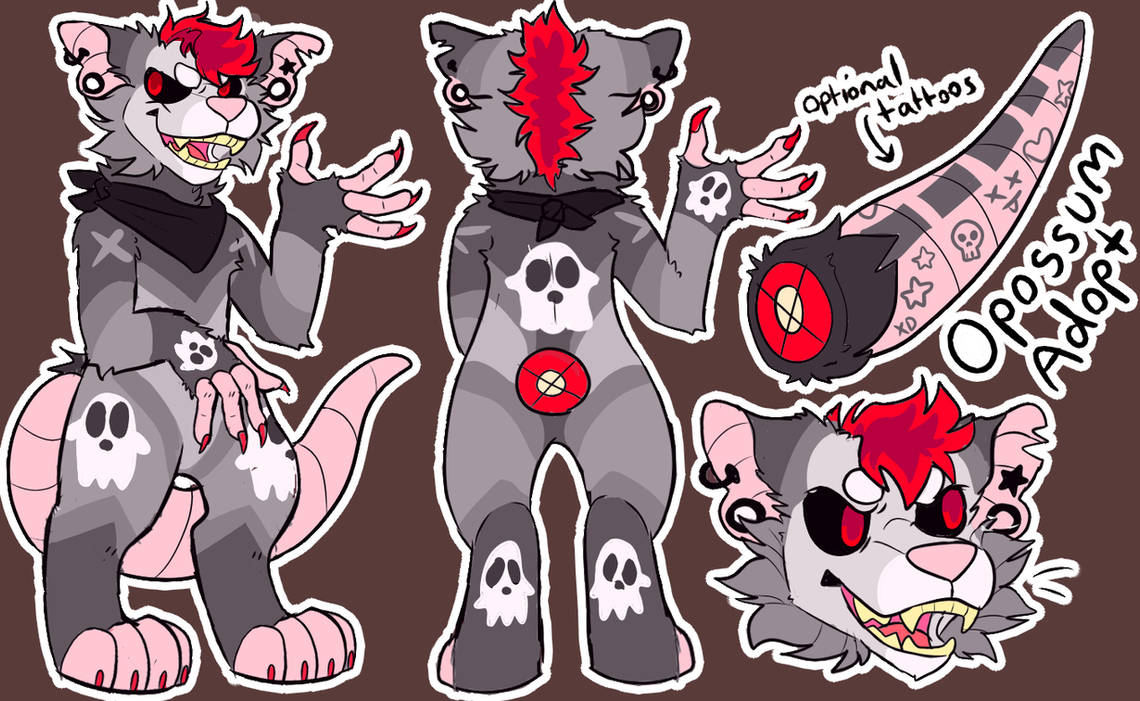 Opossum Adopt By Tacodrawsstuff On Deviantart