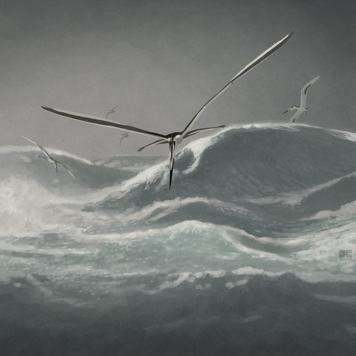 Storm Birds by jconway on DeviantArt