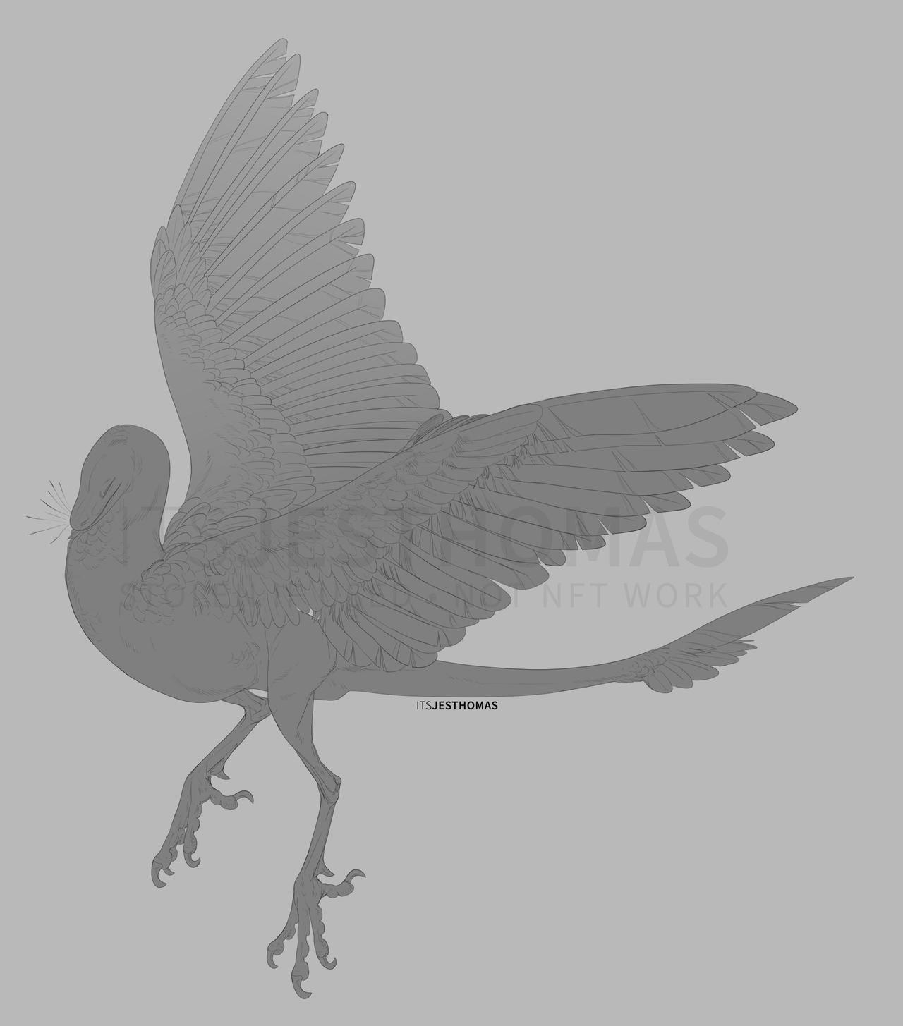 Lineart Tiny Wyvern By Itsjesthomas On Deviantart