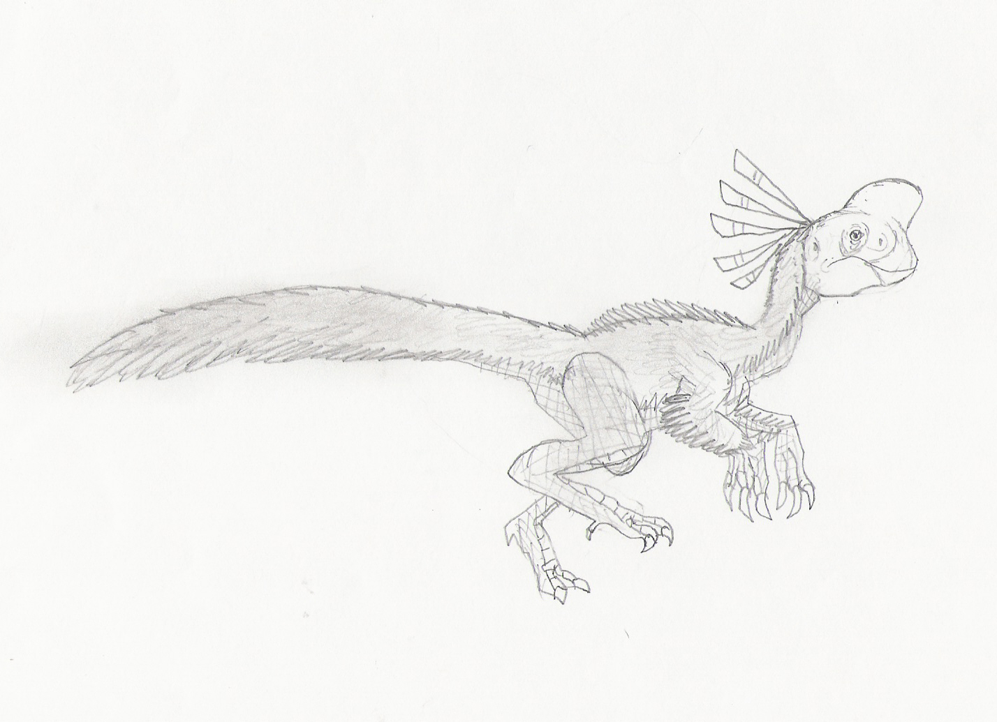 Oviraptor mongoliensis by theblazinggecko on DeviantArt