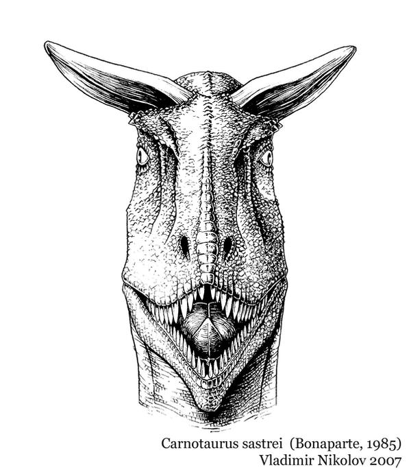 Carnotaurus sastrei by T-PEKC on DeviantArt