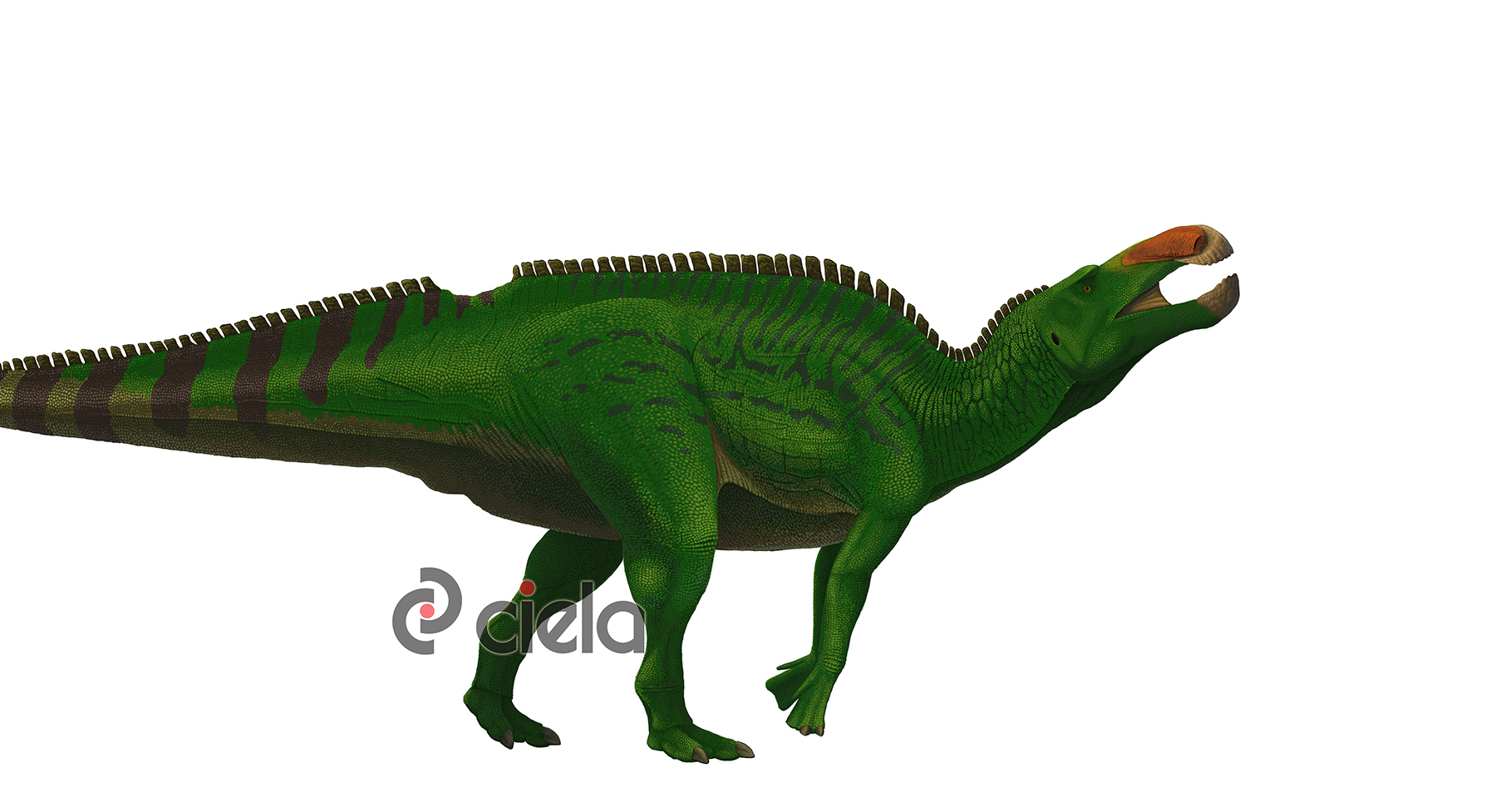 Edmontosaurus annectens by T-PEKC on DeviantArt Edmontosaurus annectens by T-PEKC on DeviantArt