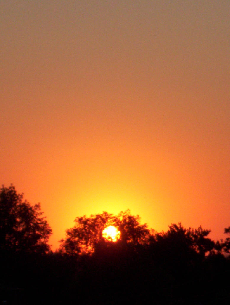 Blood Red Sunset by deseretfirefly on DeviantArt