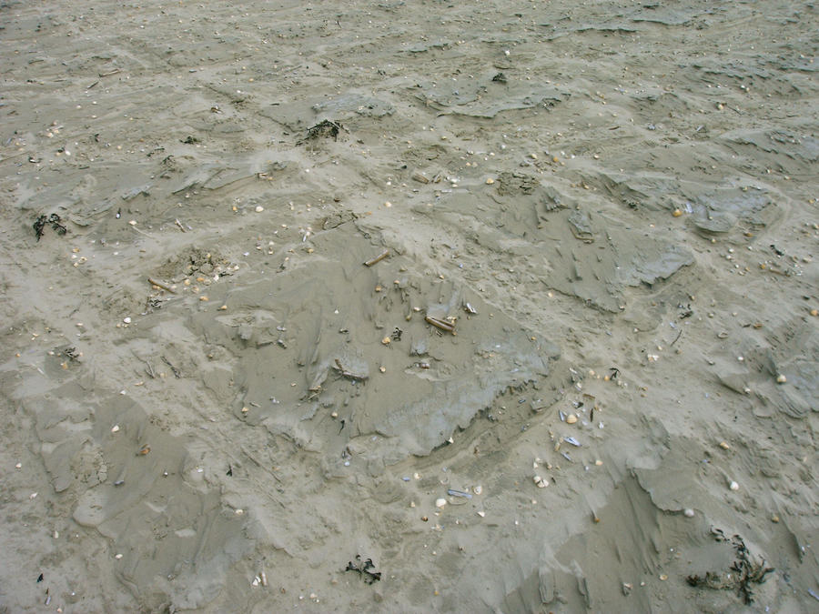 Sand Texture 5 By Fea Fanuilos Stock On Deviantart