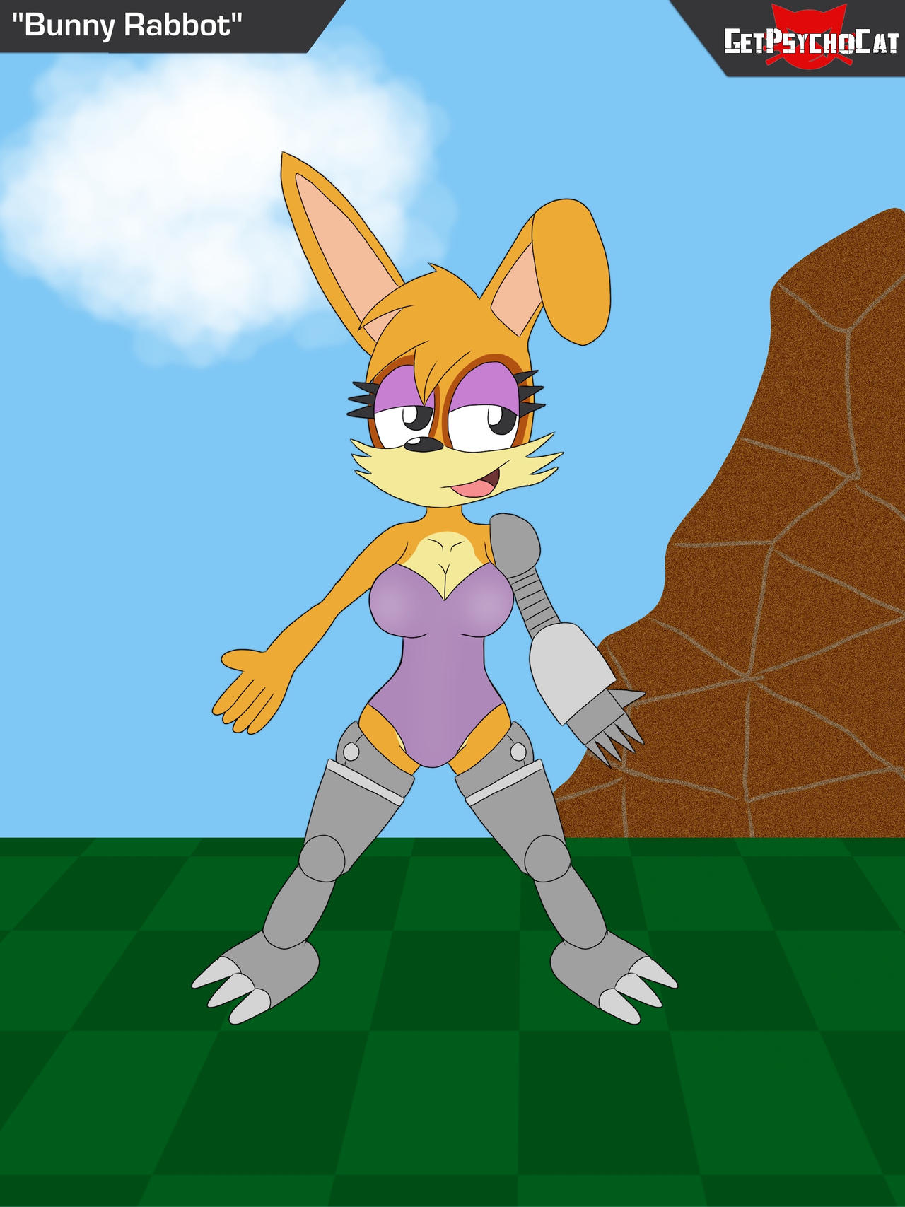 Sonic Bunnie Rabbot By Getpsychocat On Deviantart
