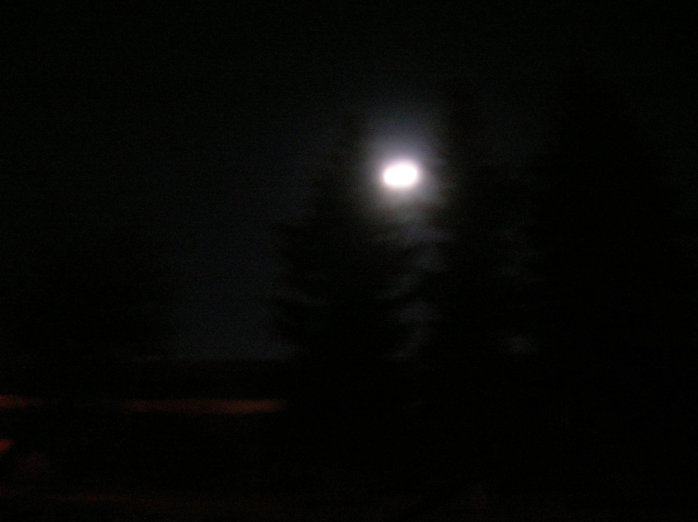 Moonlight by elfchick on DeviantArt