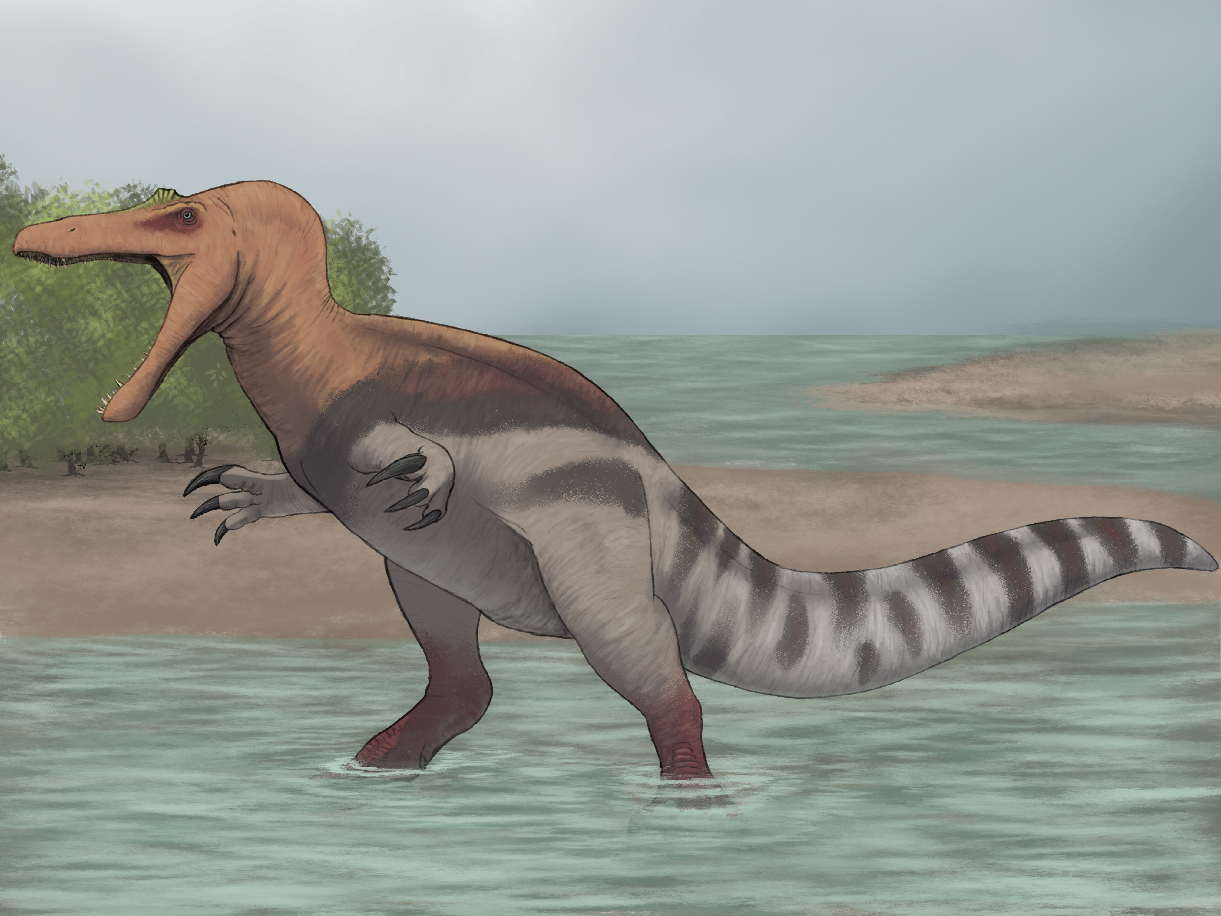 Suchomimus Tenerensis By Paleobook On Deviantart