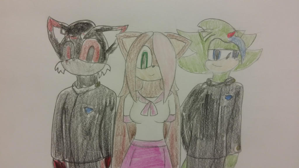 Sonic High School Poster Kind Of By Rockin Neko Flower On Deviantart