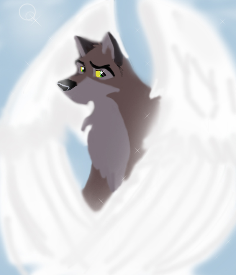 Angel Balto By Ffx Rikku On Deviantart