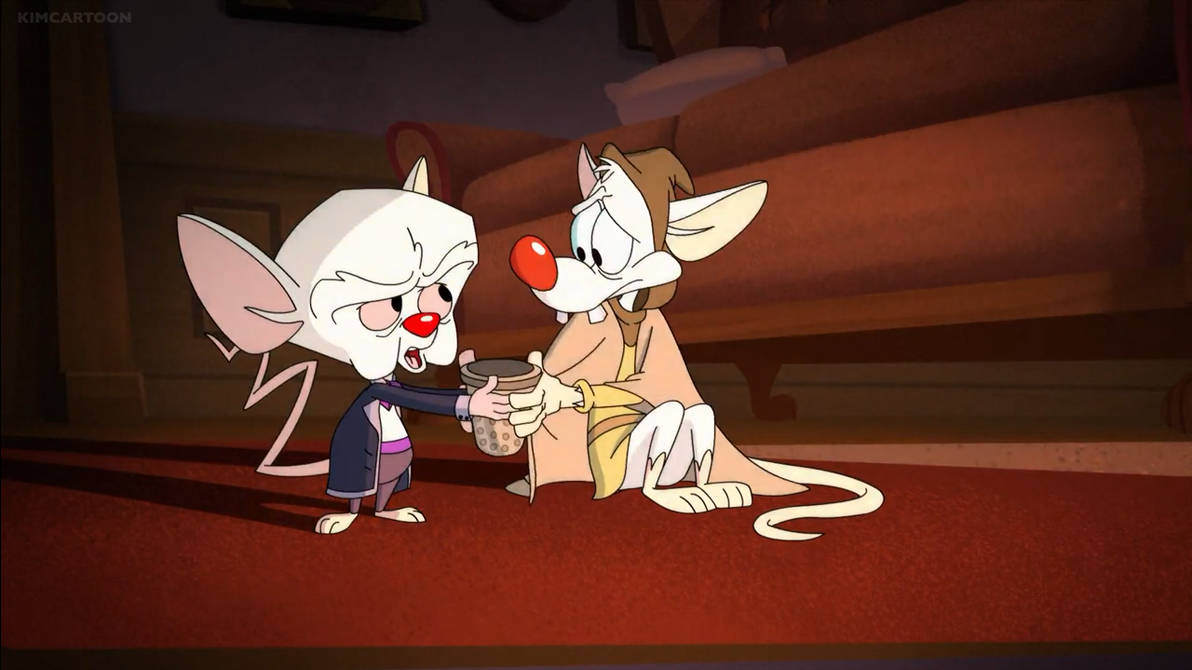 Pinky And The Brain 2020 Brain Consoles Pinky By Yesieguia On Deviantart