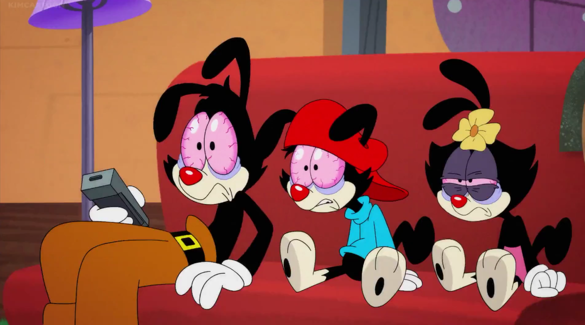 Animaniacs 2020 Webpix By Yesieguia On Deviantart