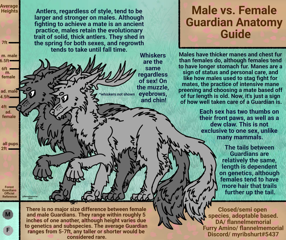 Forest Guardian Sexual Dimorphism Guide By Flannelmemorial On Deviantart